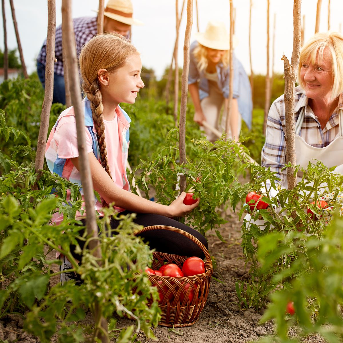 What is Foster Care? - The Role of a Foster Parent What is Foster Care? - The Role of a Foster Parent